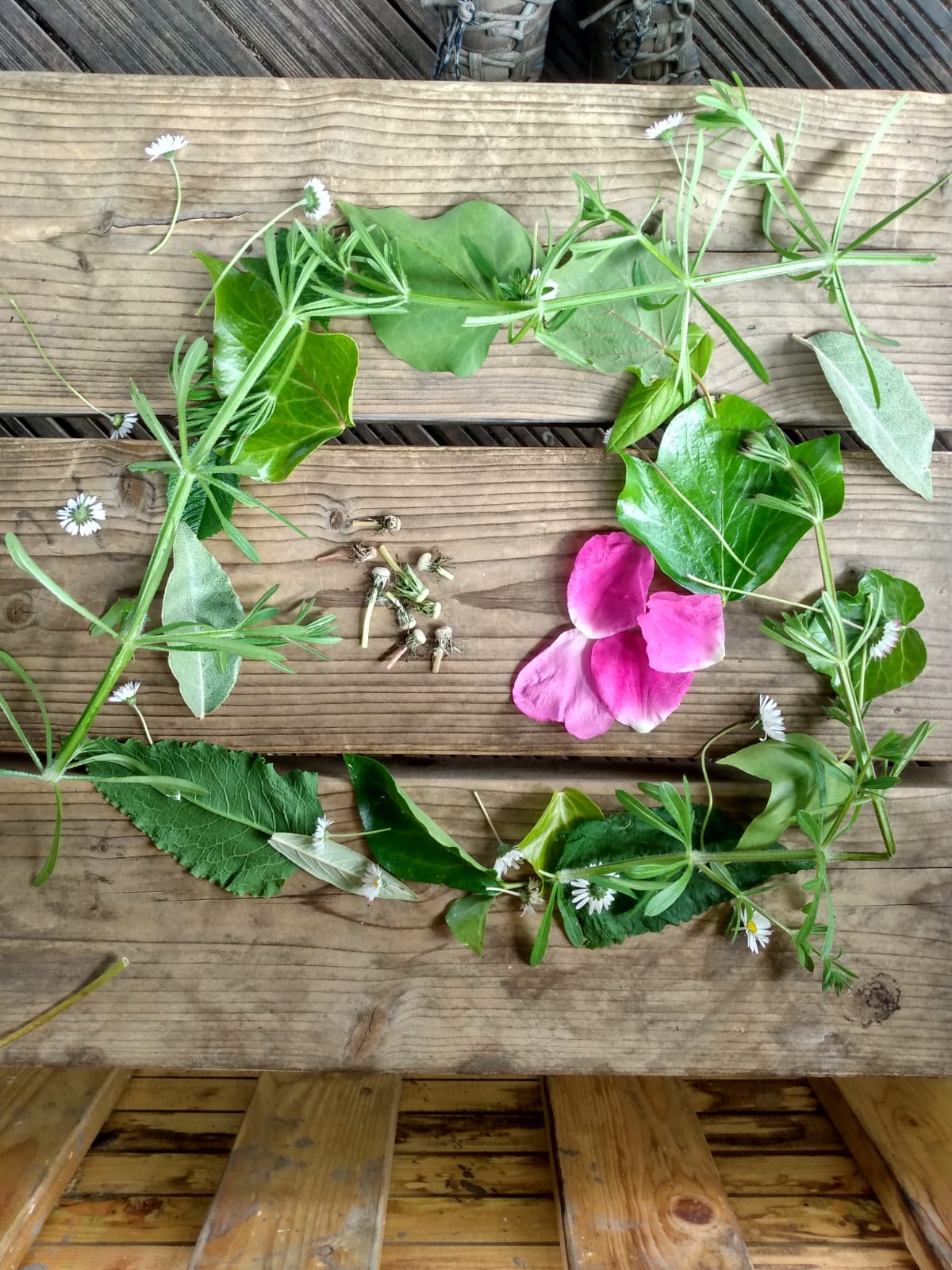 Placement Student shares all! - The Green Team